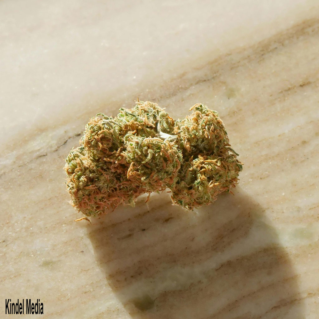 How to Beat Cannabis Tolerance: Reset Your System and Revive Your High ...